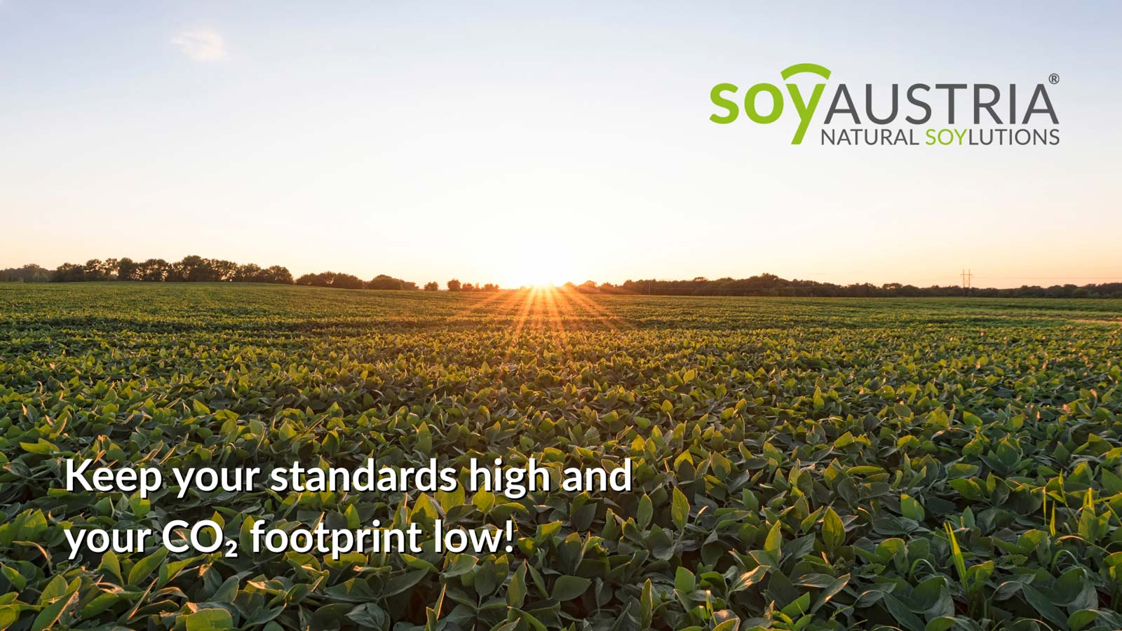 SOY AUSTRIA® | NON-GMO soy products and ingredients